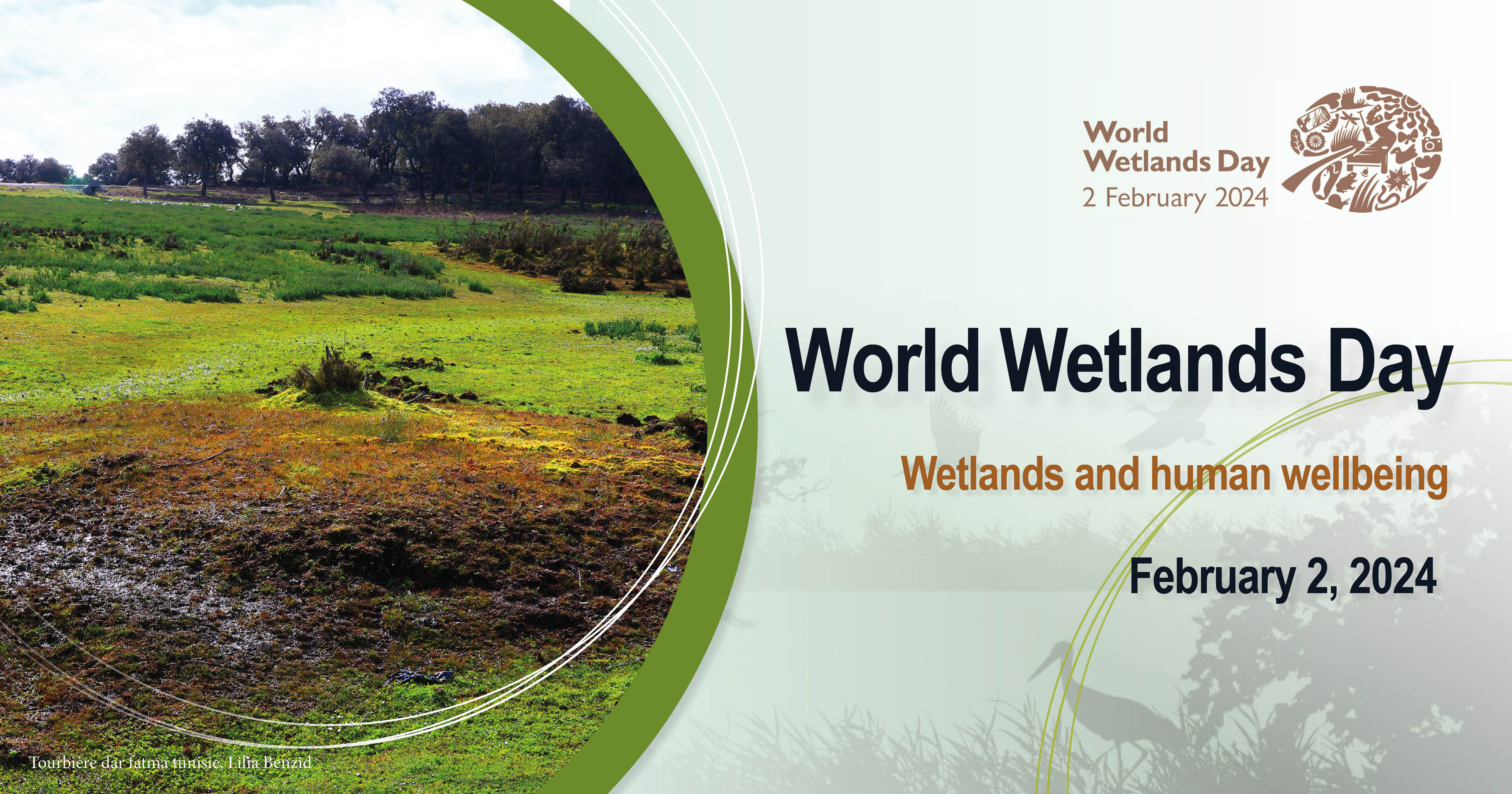 Wetlands, Sources of Human Well-being, February 2, 2024 | Welcome at Sahara and Sahel Observatory